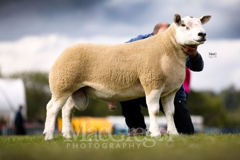 2135-Brijon-6500k-5393 - MacGregor Photography
