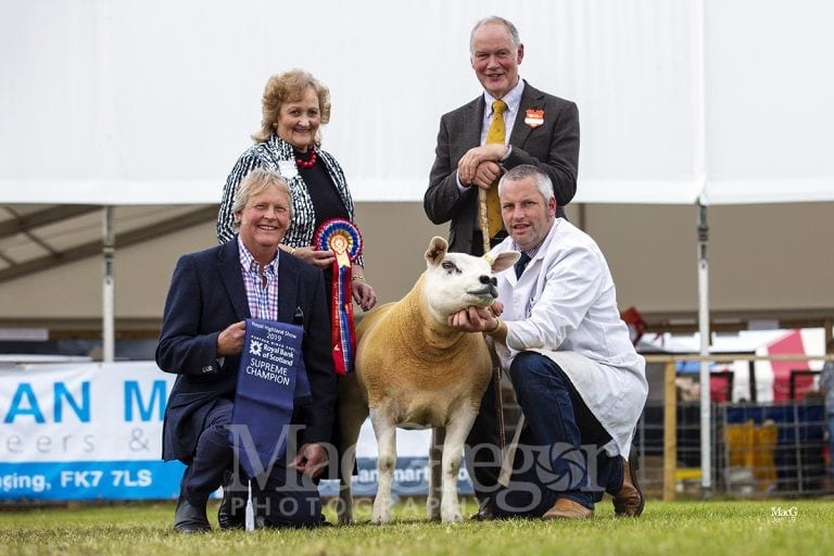 Royal Highland Show '19 - Sheep Champions - MacGregor Photography