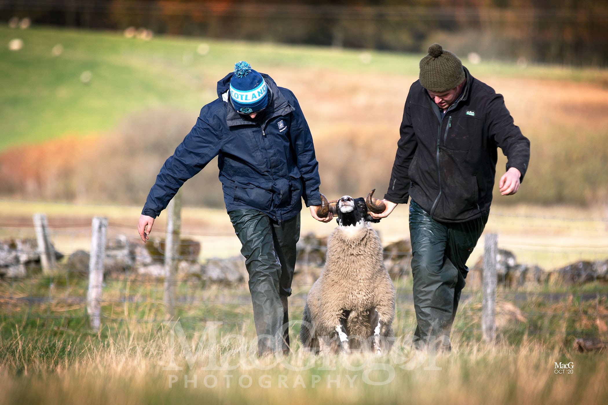 2572 - MacGregor Photography