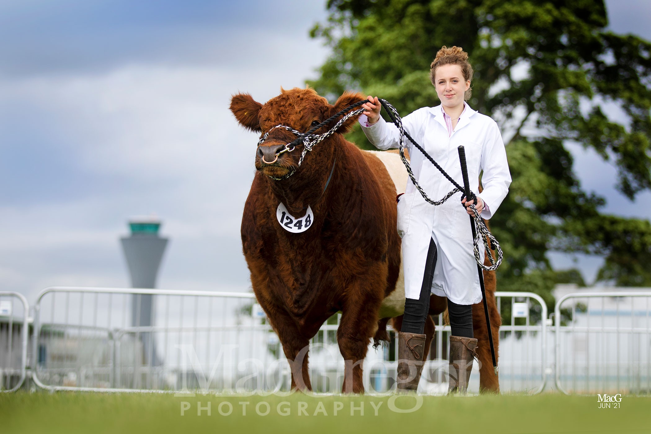 Young-Handlers-Beef-Champ-8022 - MacGregor Photography