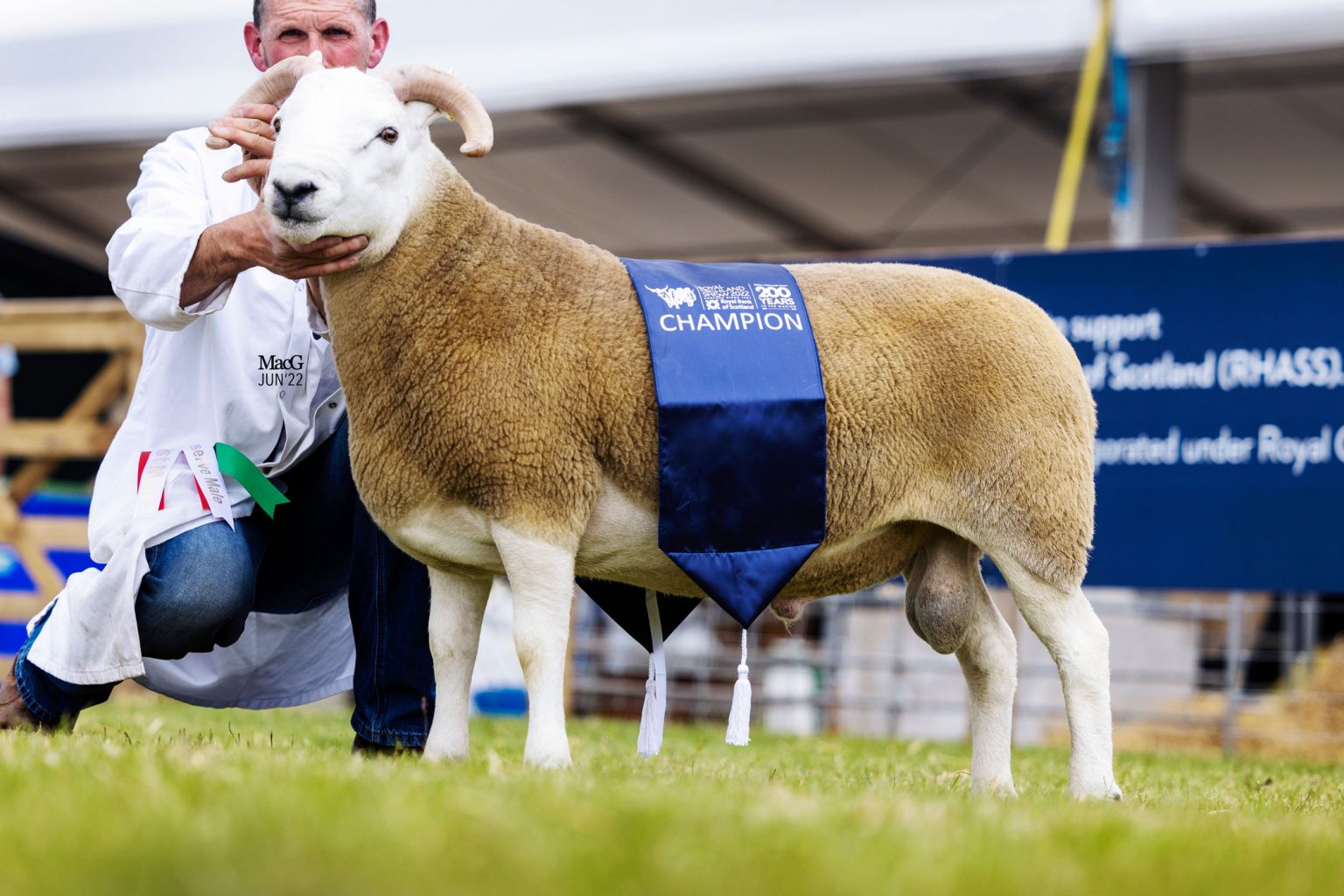 Royal Highland Show '22 - Sheep Champions - MacGregor Photography