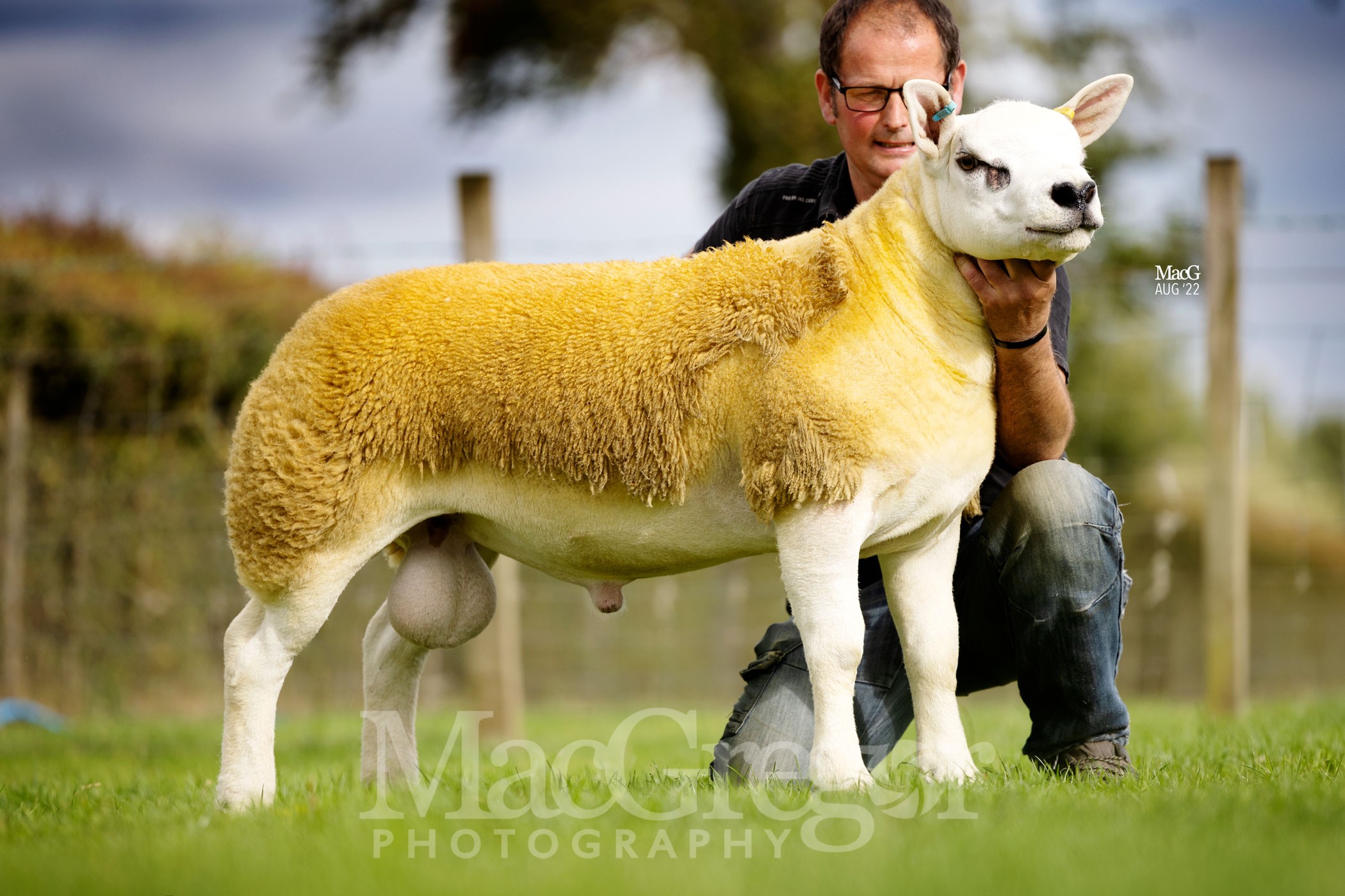 423-Knap-Fred-Flintstone-16,000gns-9612 - MacGregor Photography