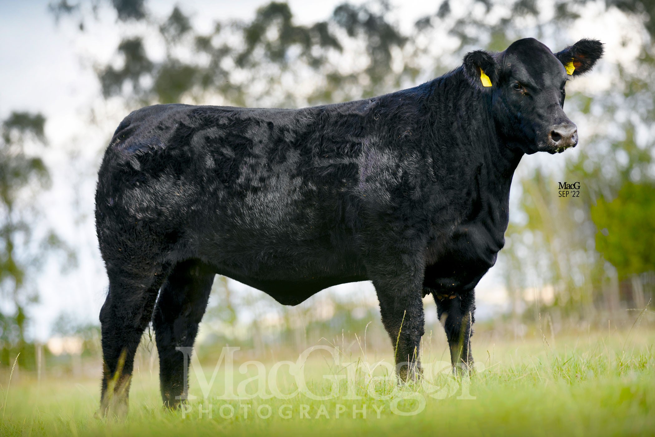 1705-0583 - MacGregor Photography