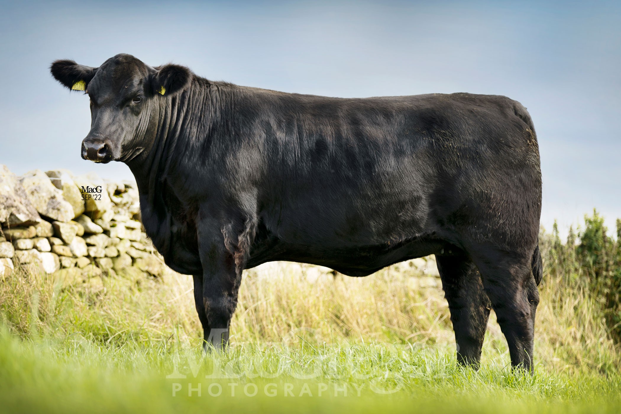 1710-0230 - MacGregor Photography