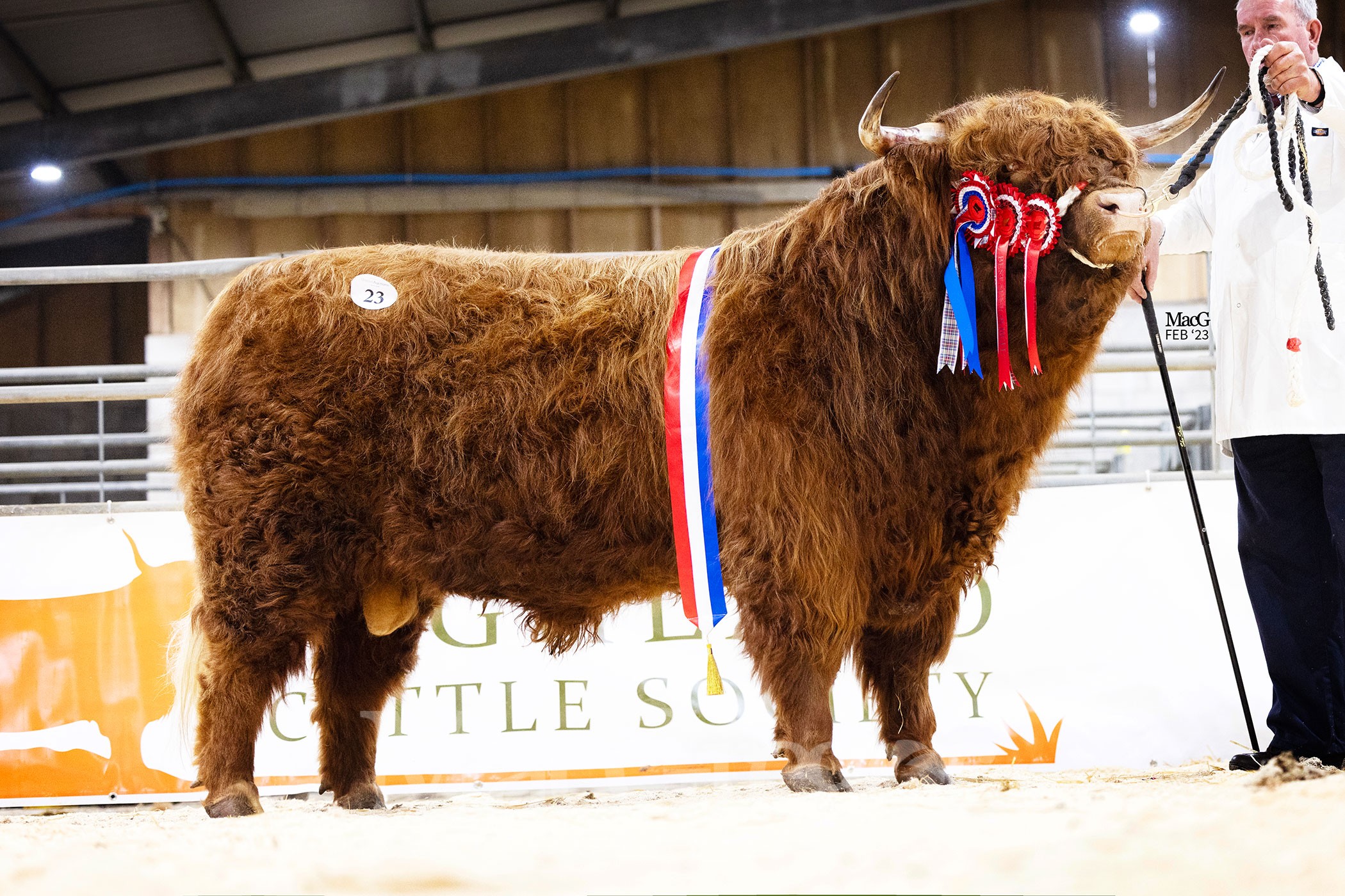 23-Seamus-of-Benmore-22k-6456 - MacGregor Photography