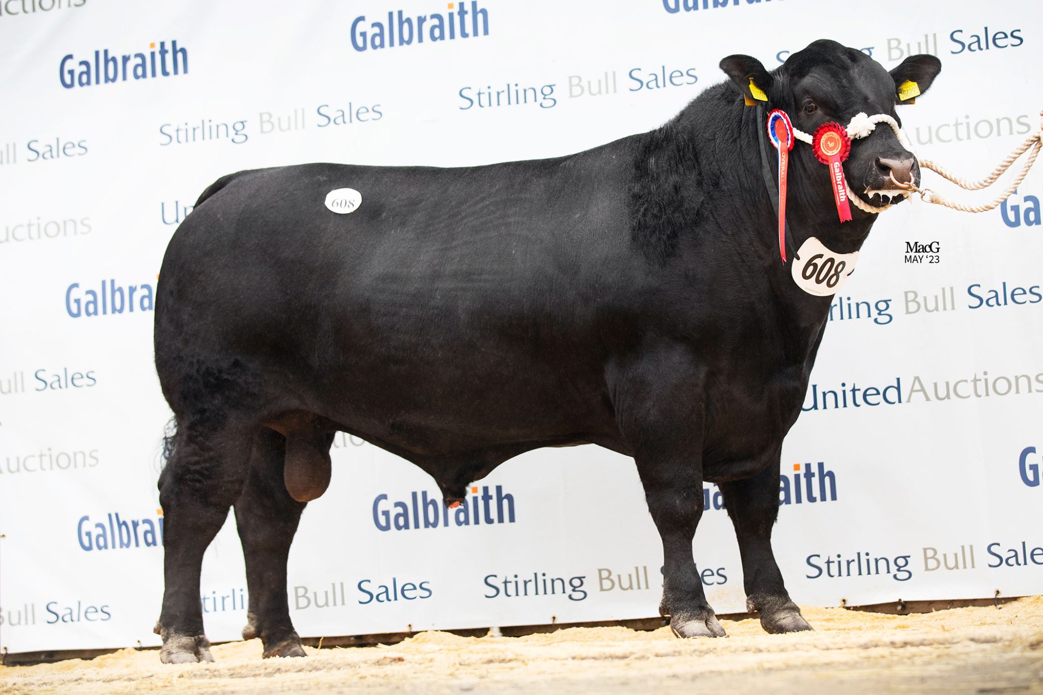 608-Roscoe-Eruption-X292-8720 - MacGregor Photography