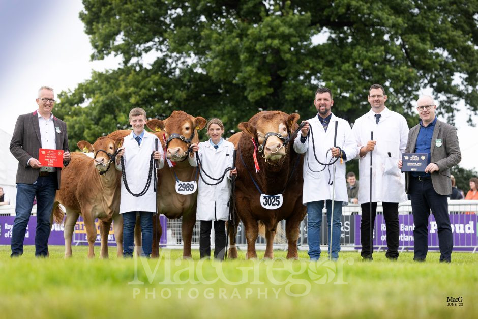 Royal Highland Show '23 - Cattle Champions - MacGregor Photography