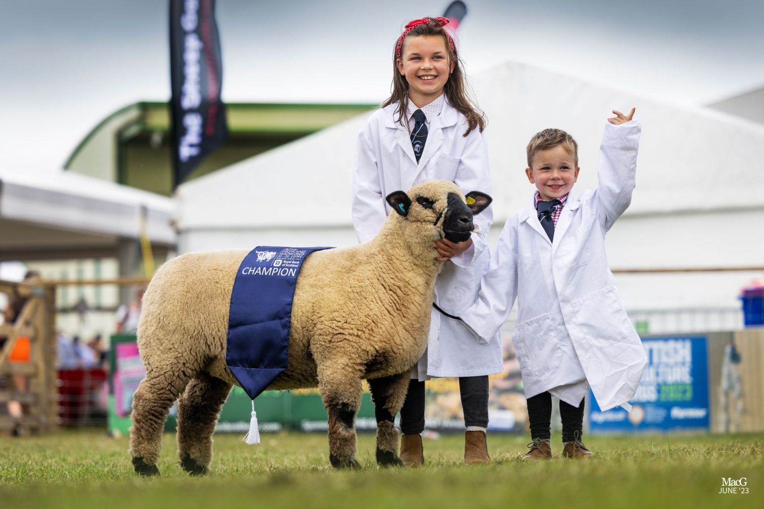Royal Highland Show '23 - Sheep Champions - MacGregor Photography