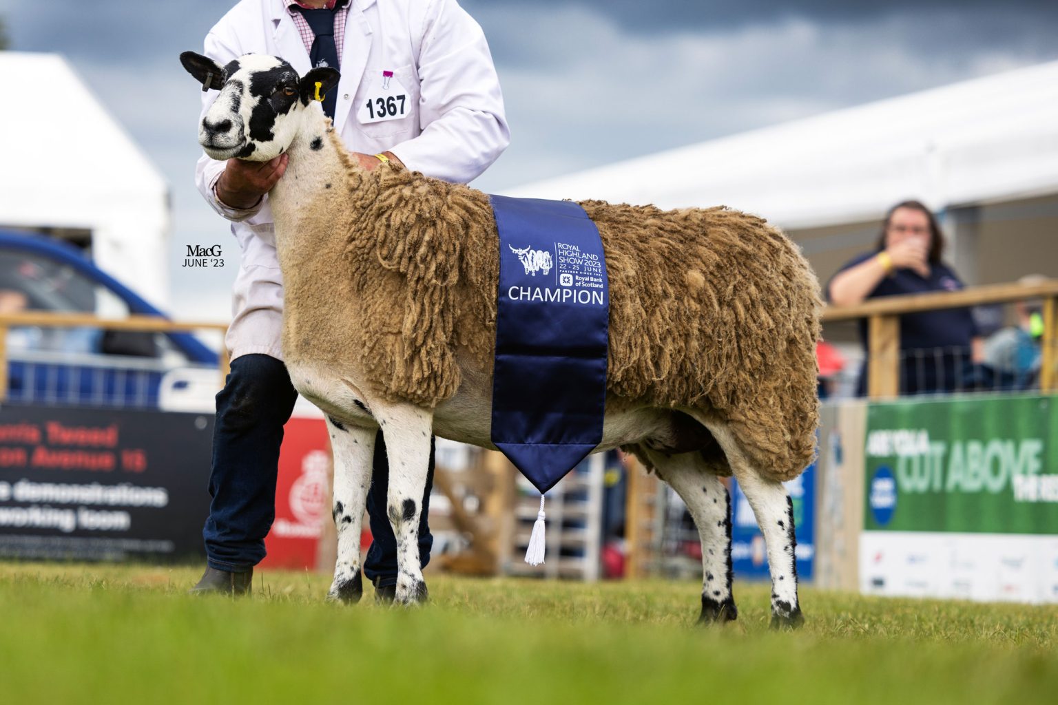 Royal Highland Show '23 - Sheep Champions - MacGregor Photography