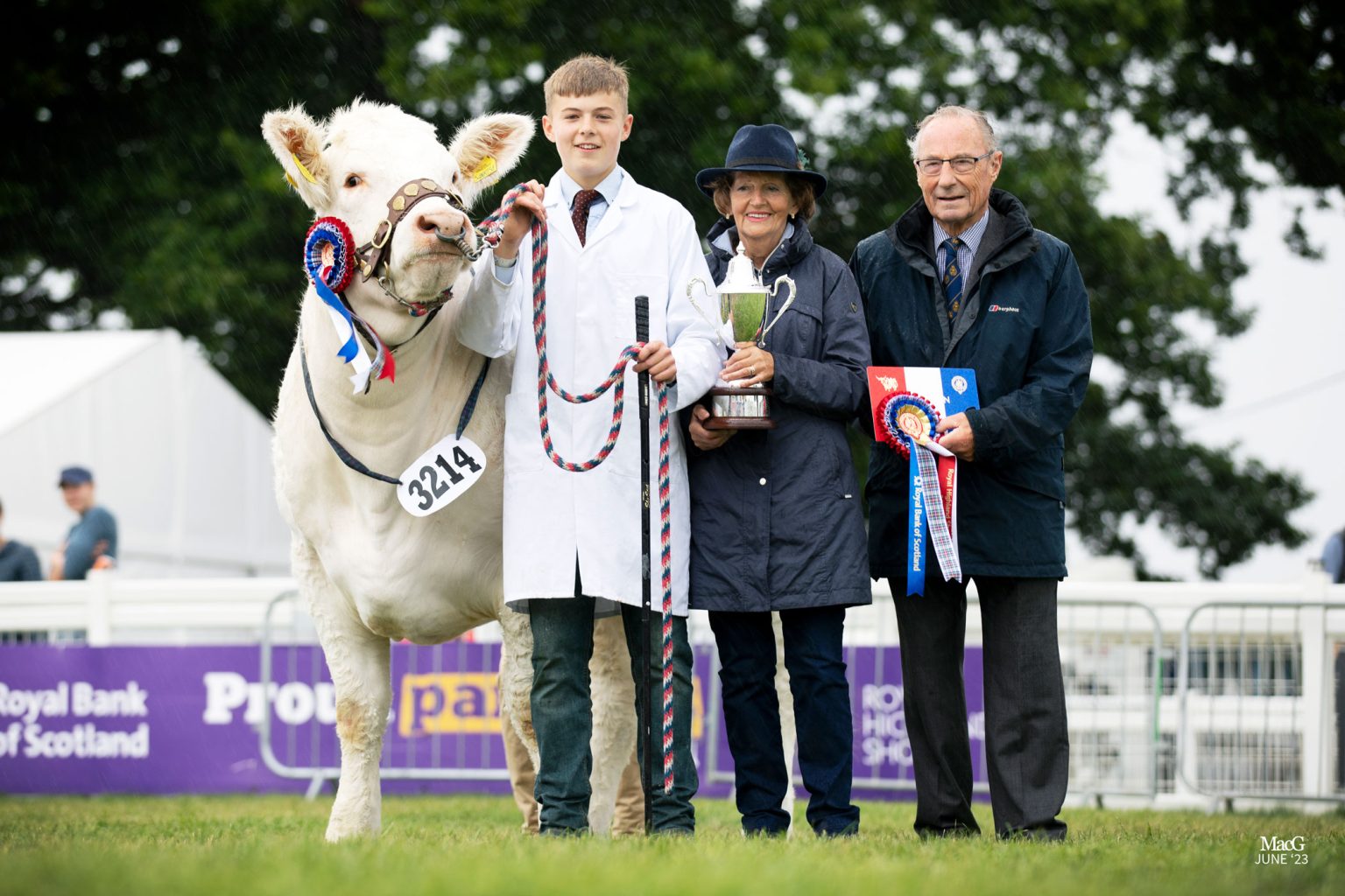 Royal Highland Show '23 - Cattle Champions - MacGregor Photography