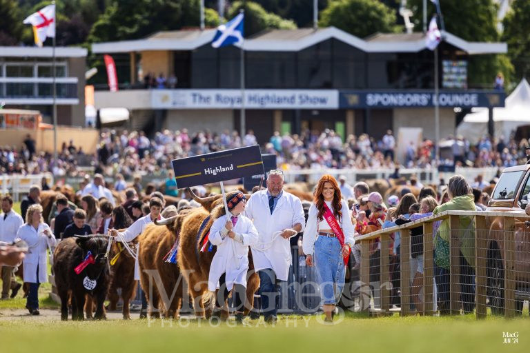 Royal Highland Show '24 - CATTLE - MacGregor Photography