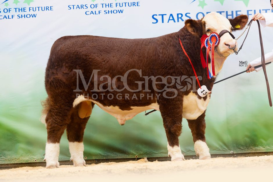 132-Maxwell-1-Crack-a-lackin-7656 - MacGregor Photography